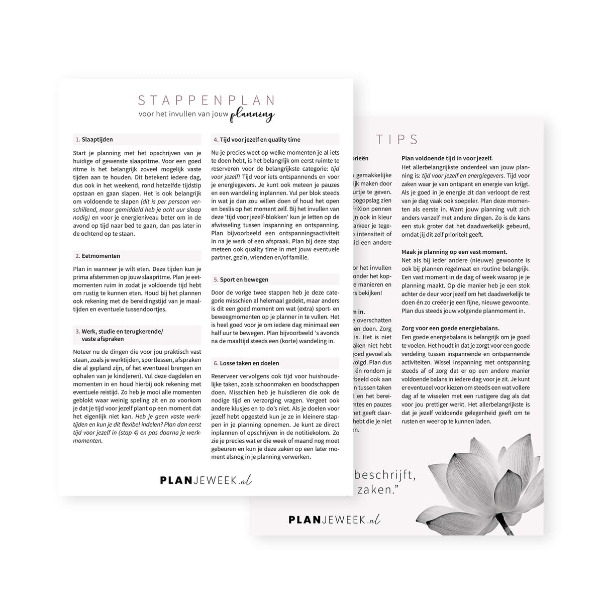 Stappenplan als planhulp bij je planner - Planjeweek.nl