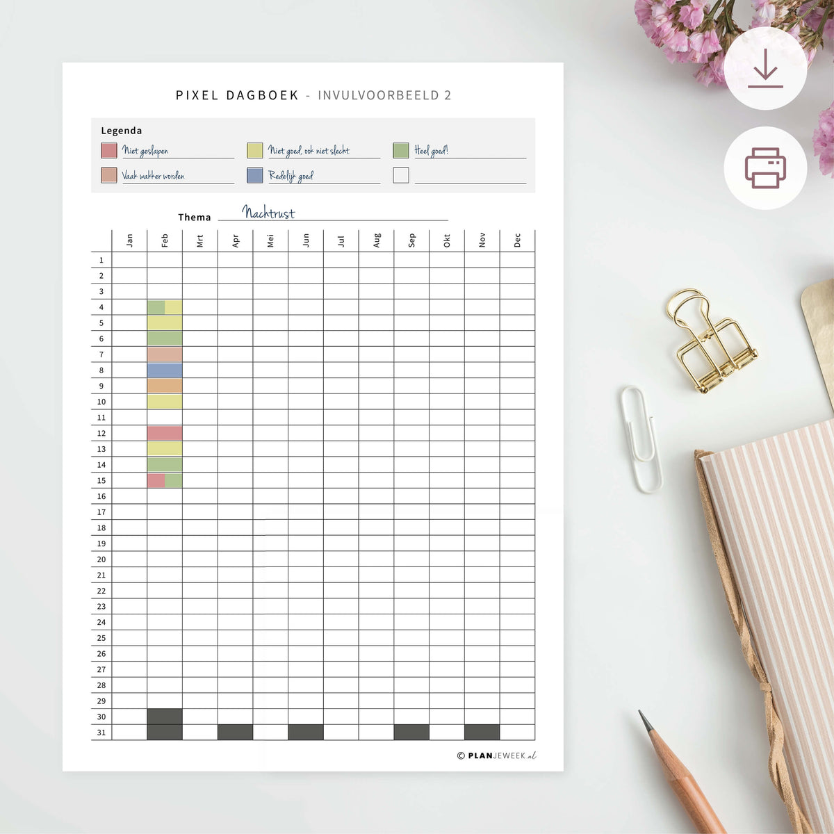 Printable - Pixel dagboek per jaar - Planjeweek.nl